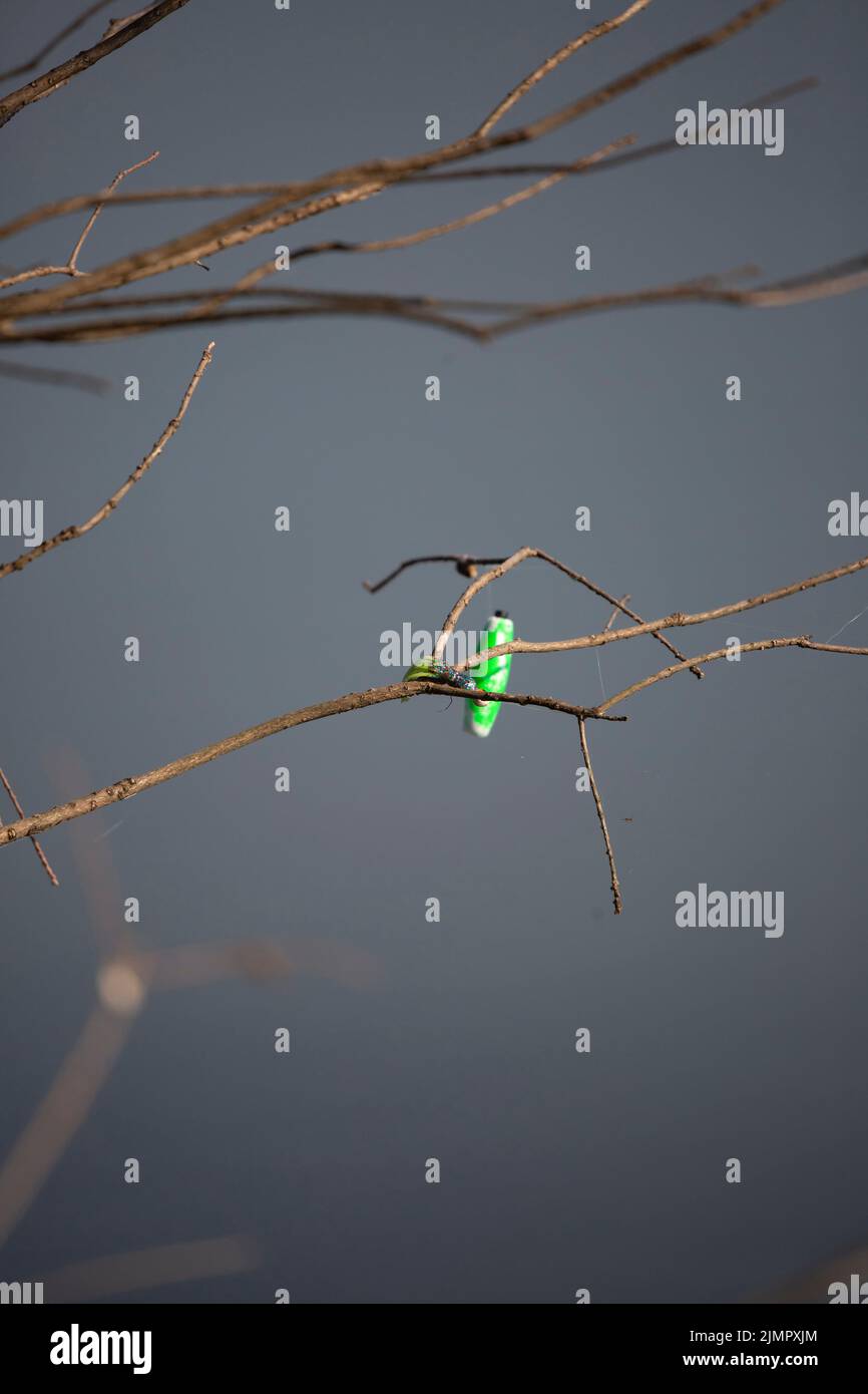 Bright green bobber floating at the top of water Stock Photo - Alamy