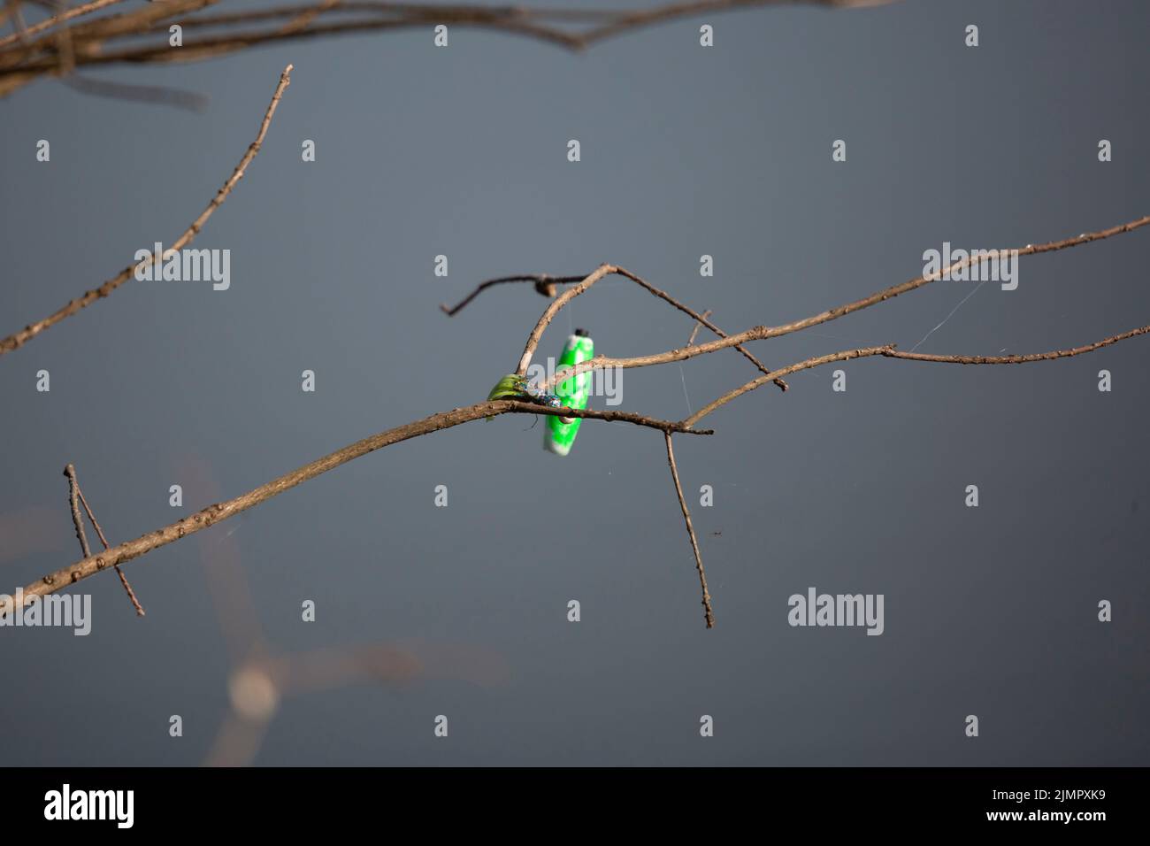 Bright green bobber floating at the top of water Stock Photo - Alamy