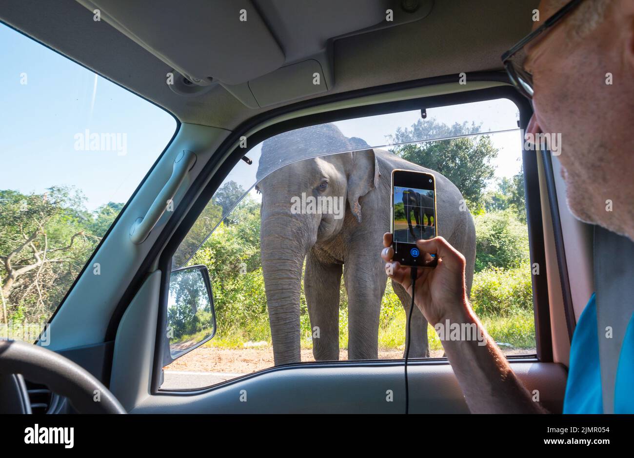 Road elephant animal hi-res stock photography and images - Alamy