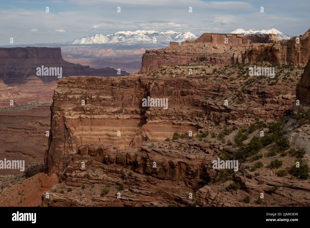 The Cliffs Over The Neck And The Snow Covered La Sal Mountains in ...