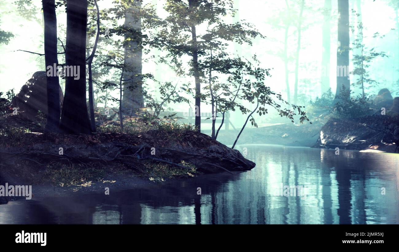 Dark pond in mysterious forest Stock Photo - Alamy