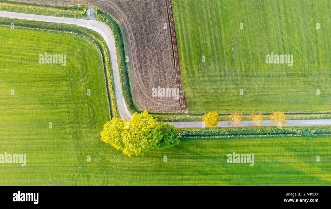 Aerial view drone shot of fresh green field in Spring near Brecht by ...