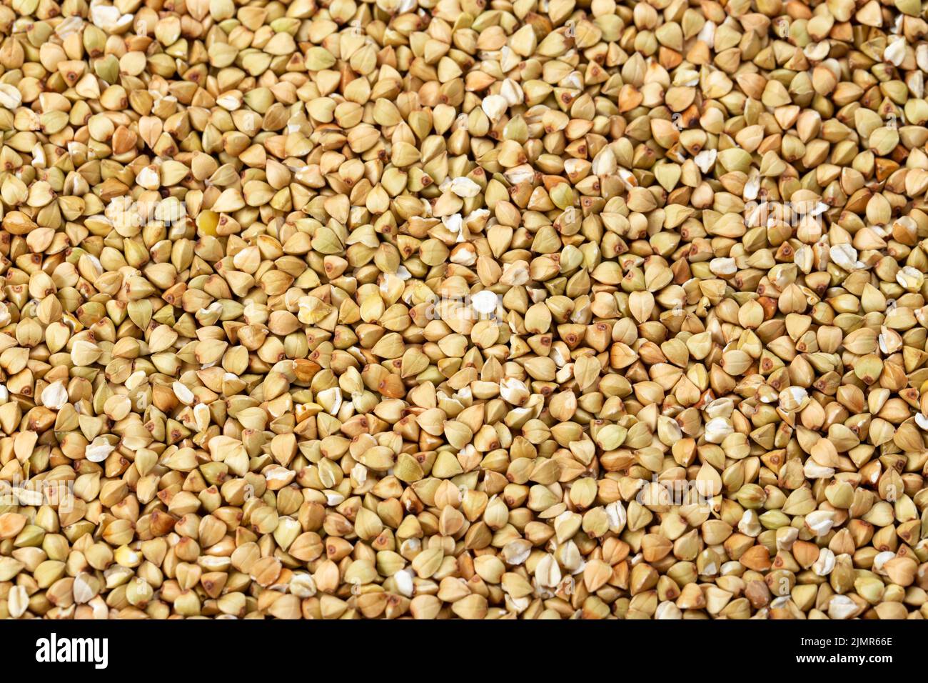 fresh buckwheat. dry buckwheat background. buckwheat texture. brown ...