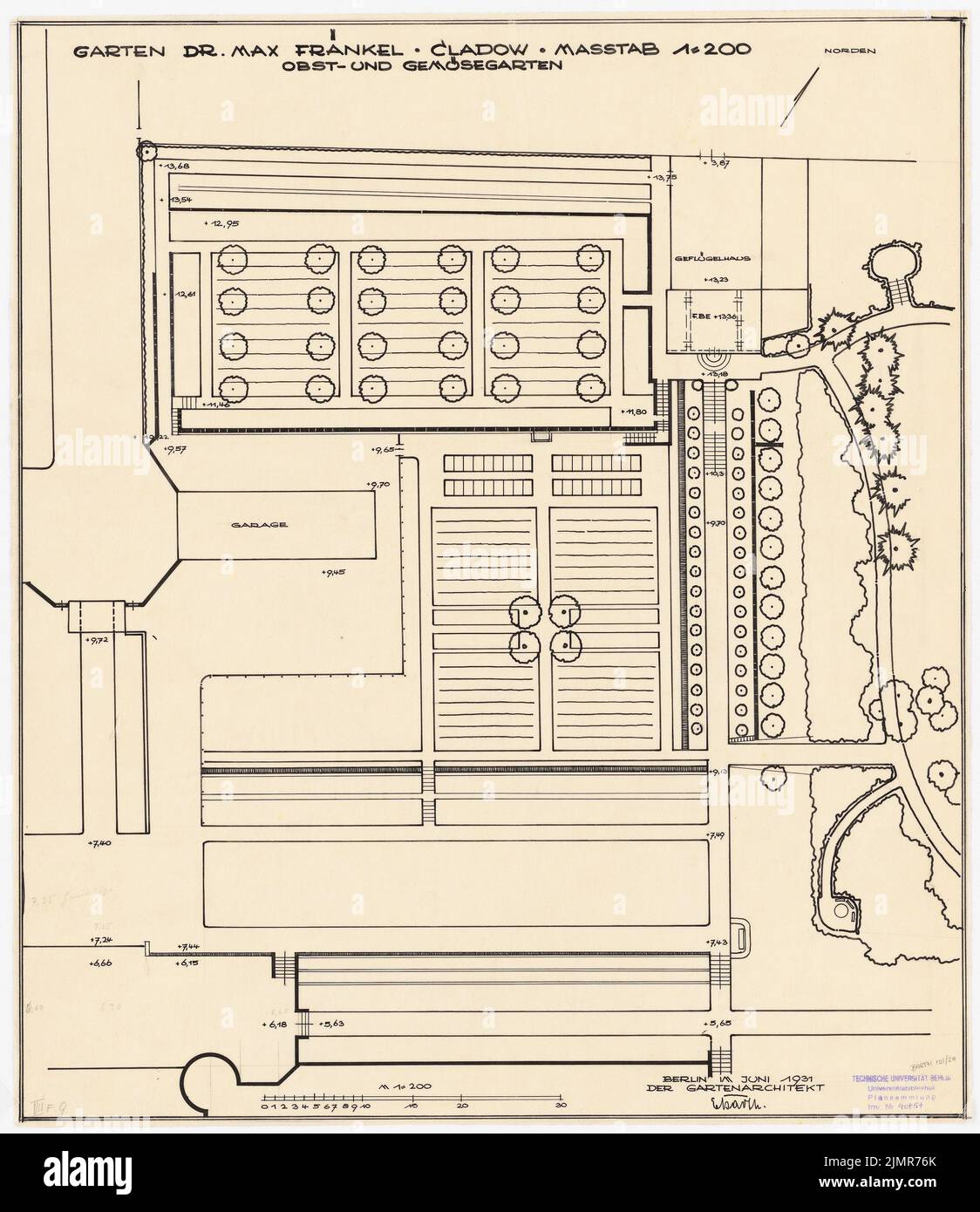 Vegetable Garden Design Drawing