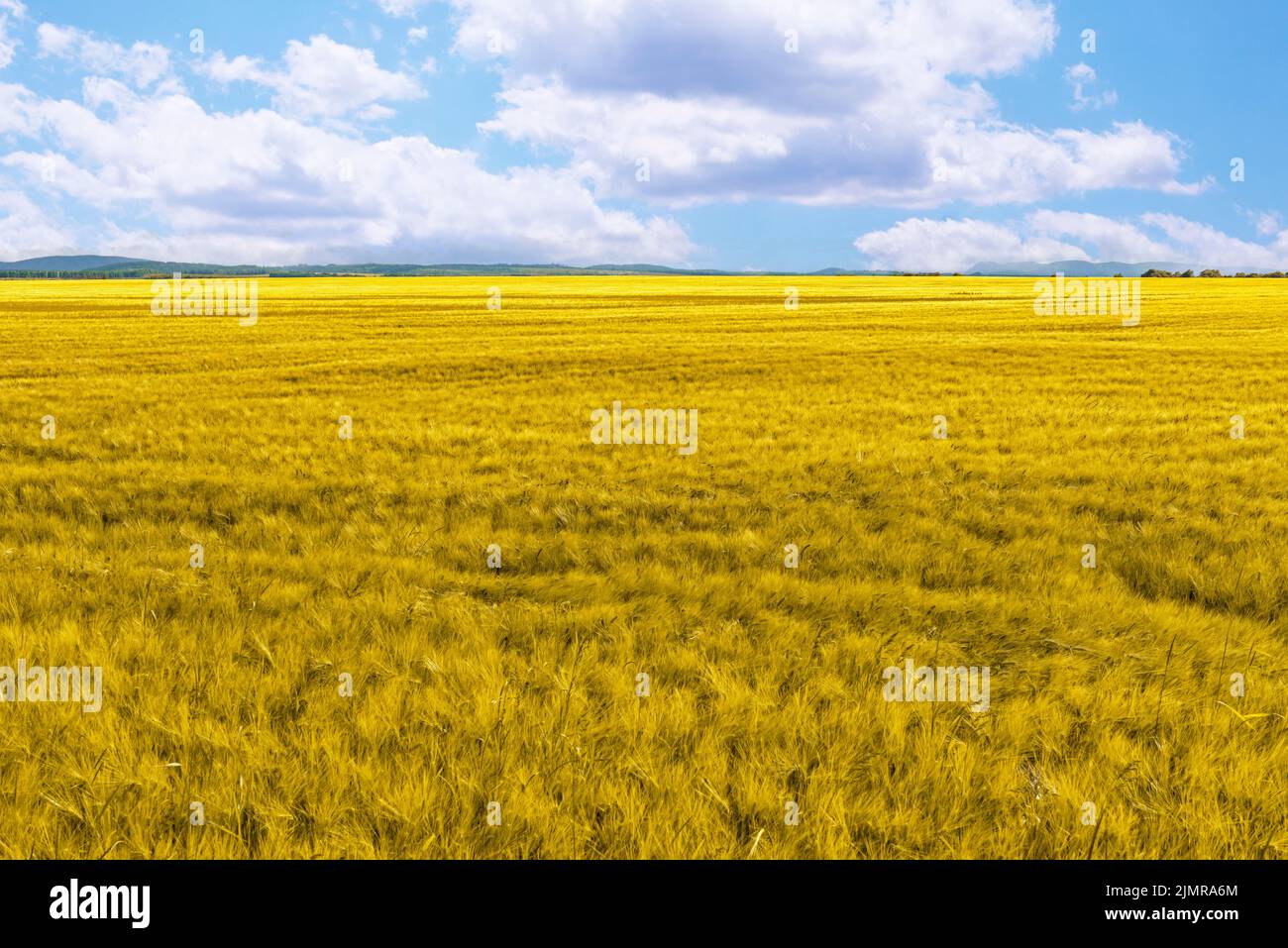 Boundless steppe hi-res stock photography and images - Alamy