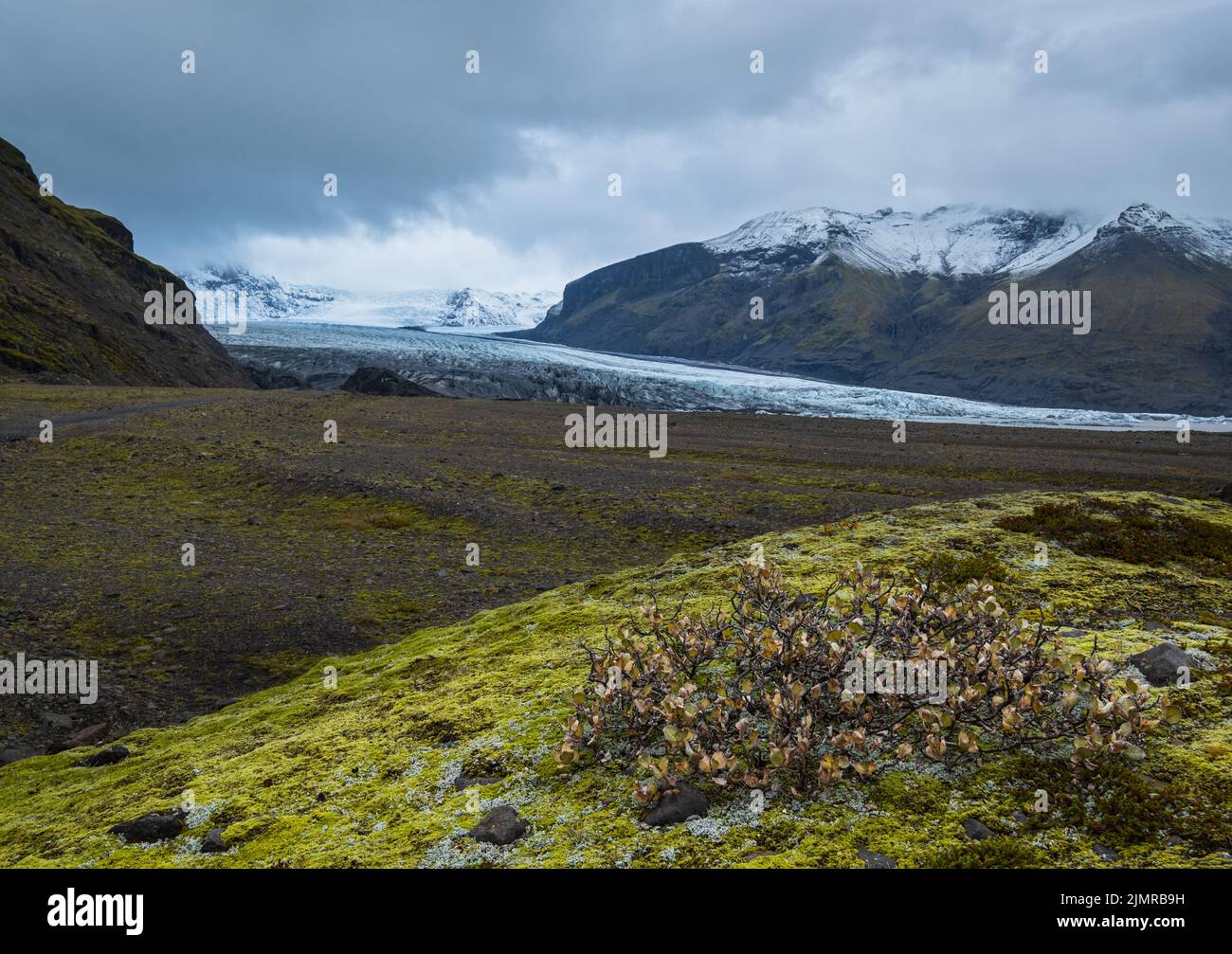 Iceland autumn tundra landscape near Haoldukvisl glacier, Iceland ...