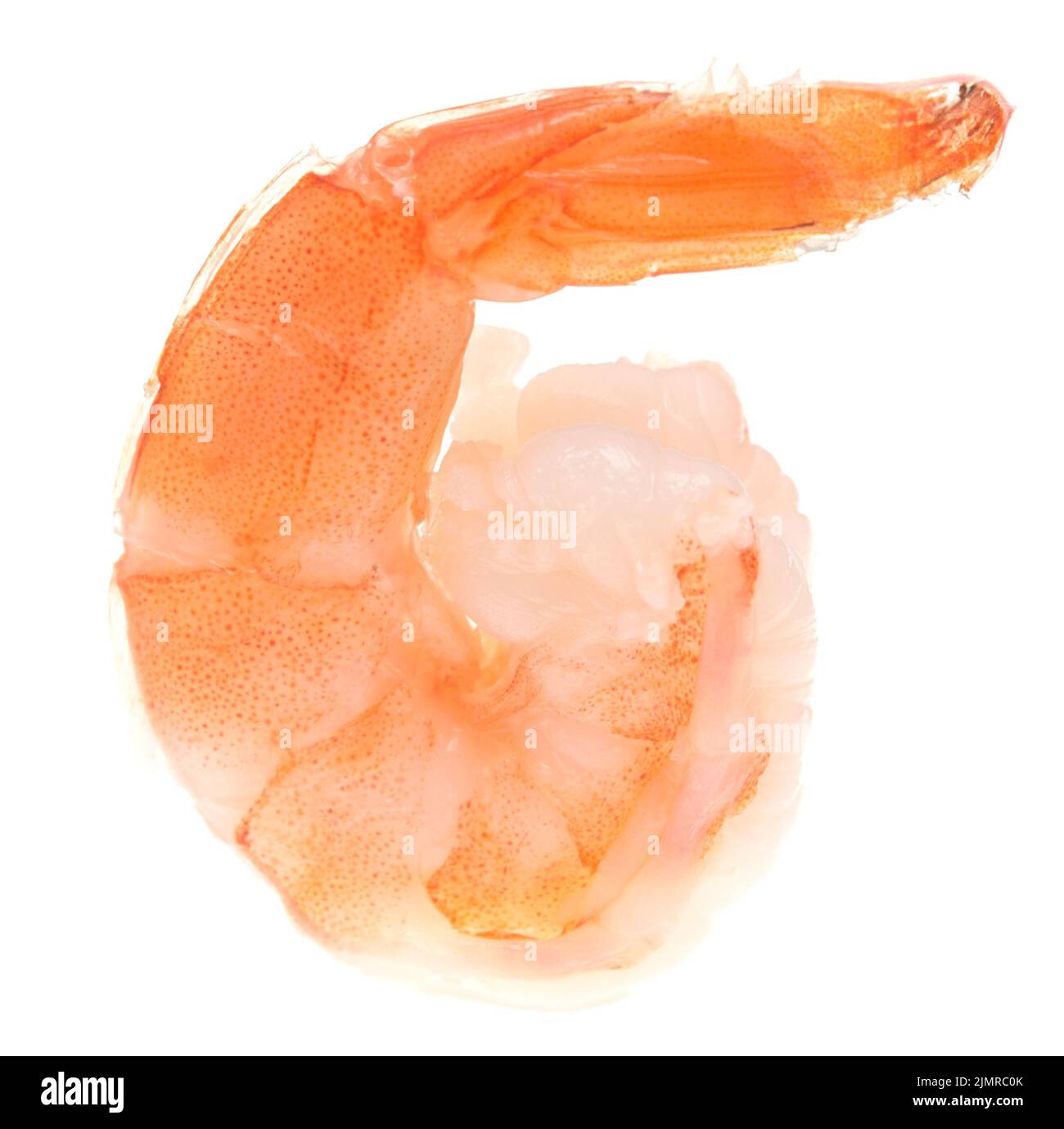 Luxury shrimp hi-res stock photography and images - Alamy