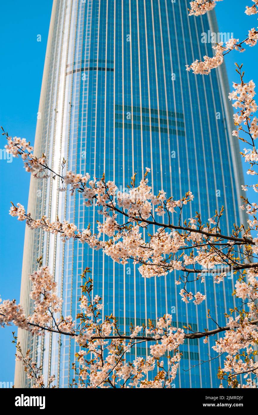 A vertical shot of the famous Lotte World Tower skyscraper in Seoul ...