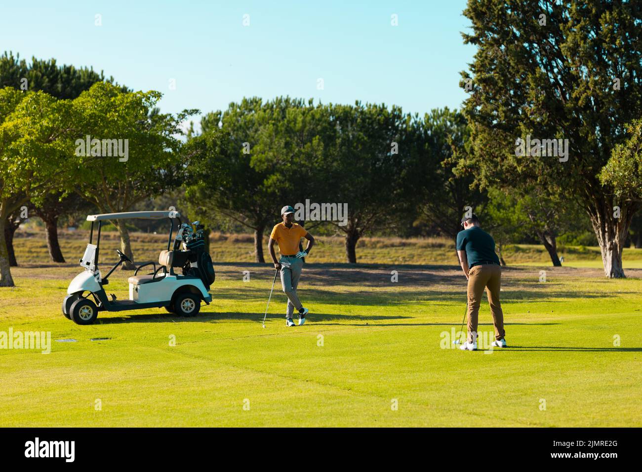 Multiracial young male friends playing golf against trees at golf ...
