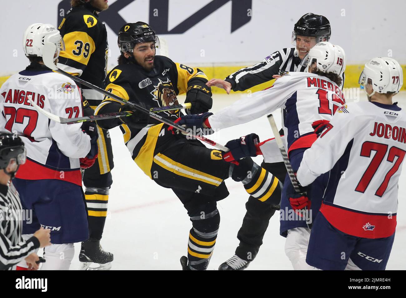 (Editorial Only) Mark Duarte(88) of the Hamilton Bulldogs. Luke Durda ...