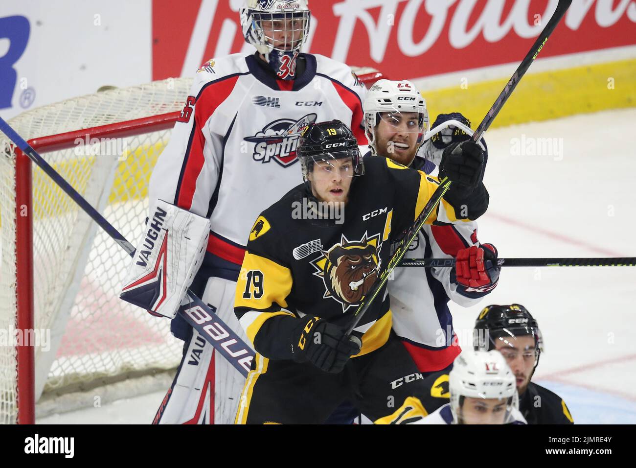 (Editorial Only) Giordano Biondi(17) of the Hamilton Bulldogs. Luke ...