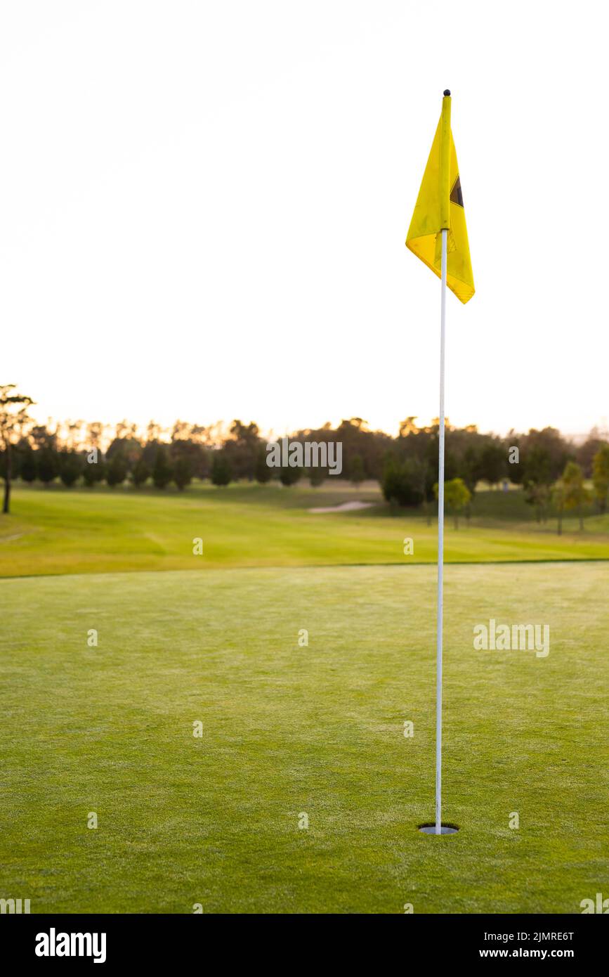Yellow golf flag in hole amidst grassy landscape against trees and ...