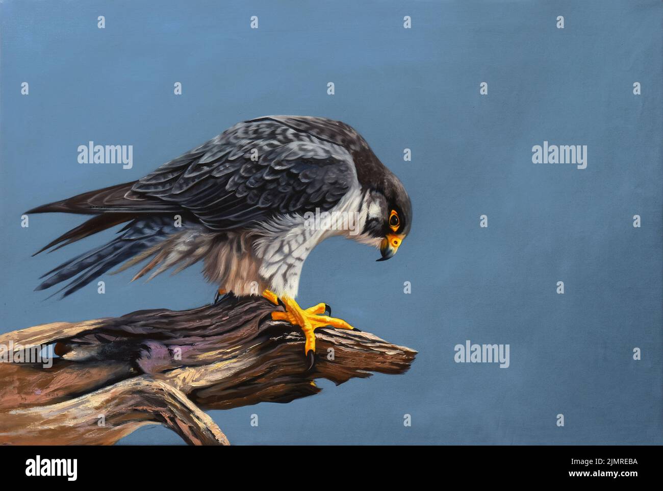 Falcon art hi-res stock photography and images - Alamy