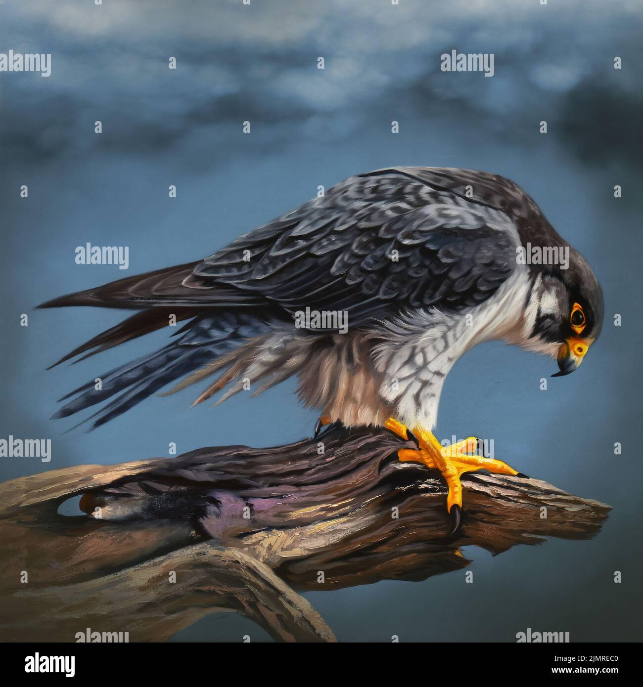 Falcon art hi-res stock photography and images - Alamy
