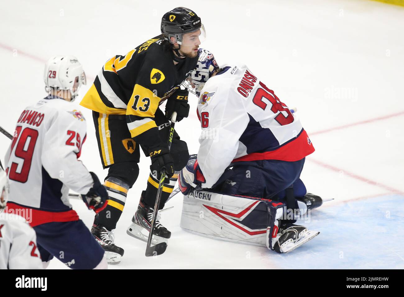 (Editorial Only) Avery Hayes(13) of the Hamilton Bulldogs. Luke Durda ...