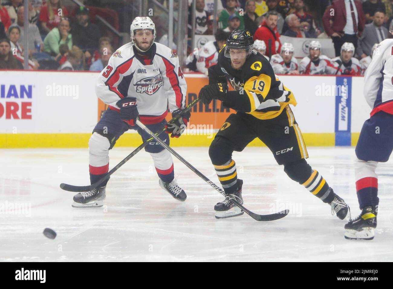 (Editorial Only) Giordano Biondi(17) of the Hamilton Bulldogs. Luke ...