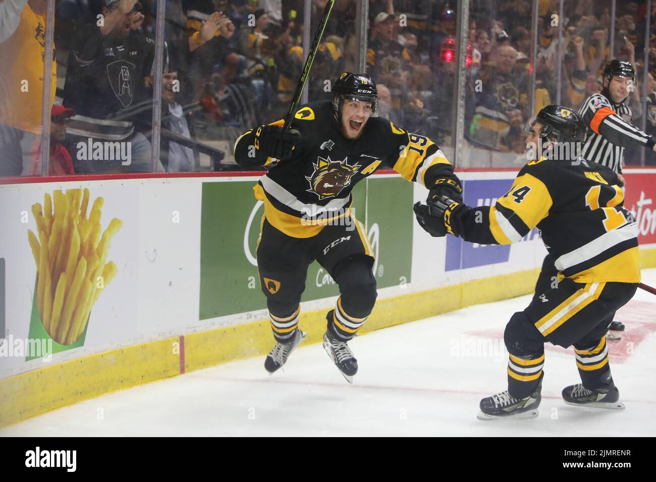 (Editorial Only) Giordano Biondi(17) of the Hamilton Bulldogs. Luke ...