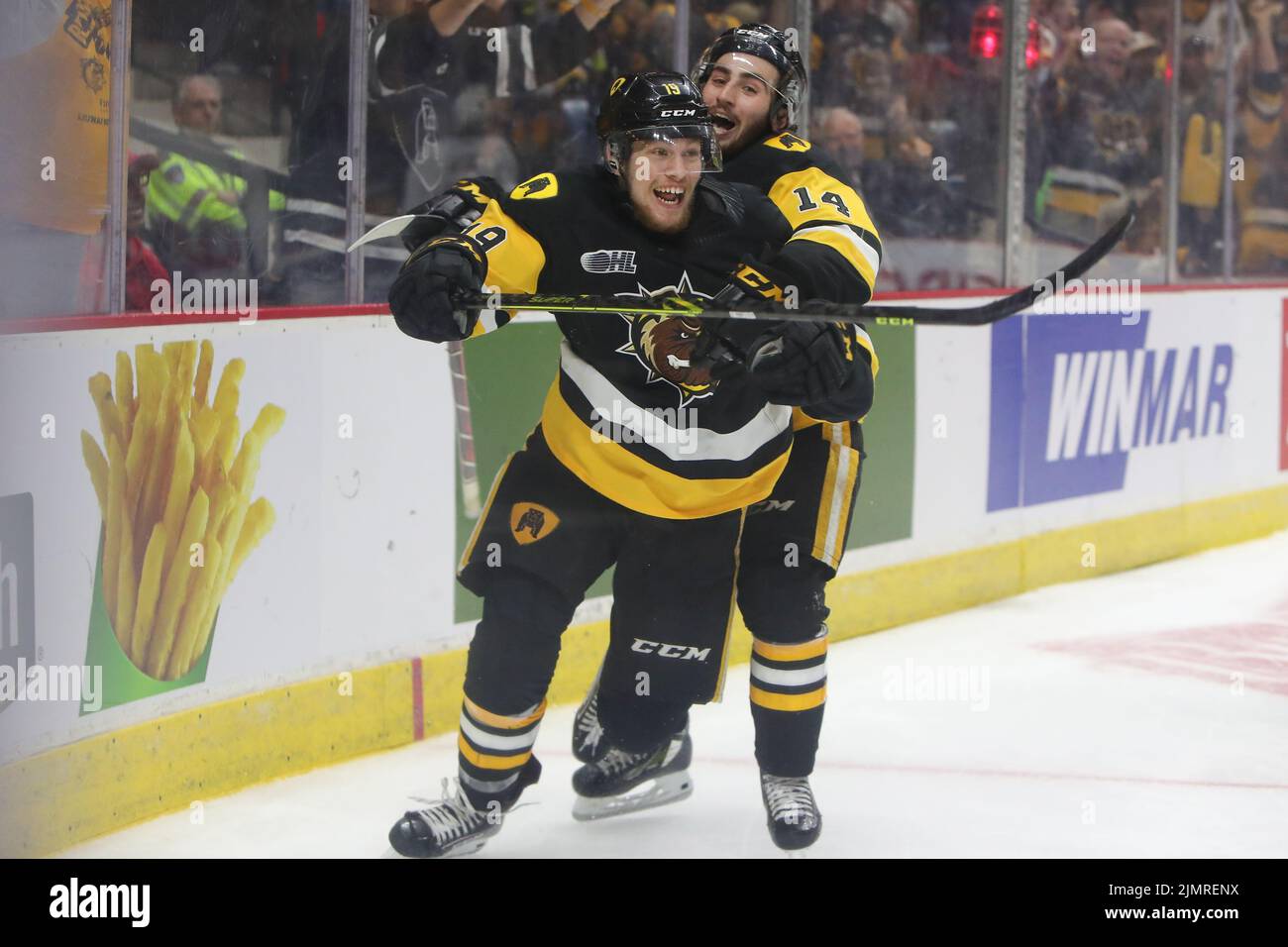 (Editorial Only) Giordano Biondi(17) of the Hamilton Bulldogs. Luke ...