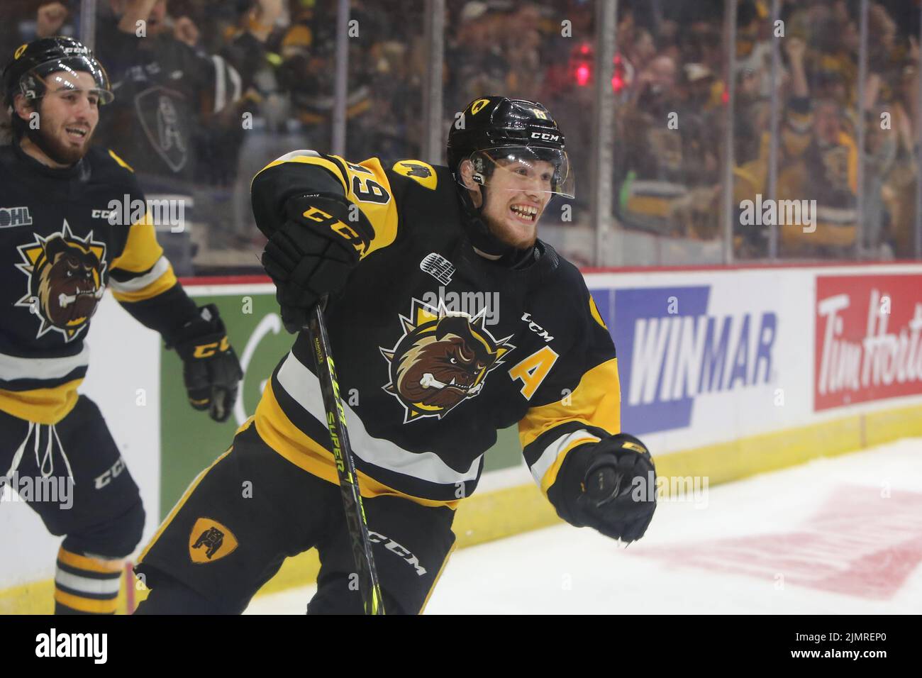 (Editorial Only) Giordano Biondi(17) of the Hamilton Bulldogs. Luke ...