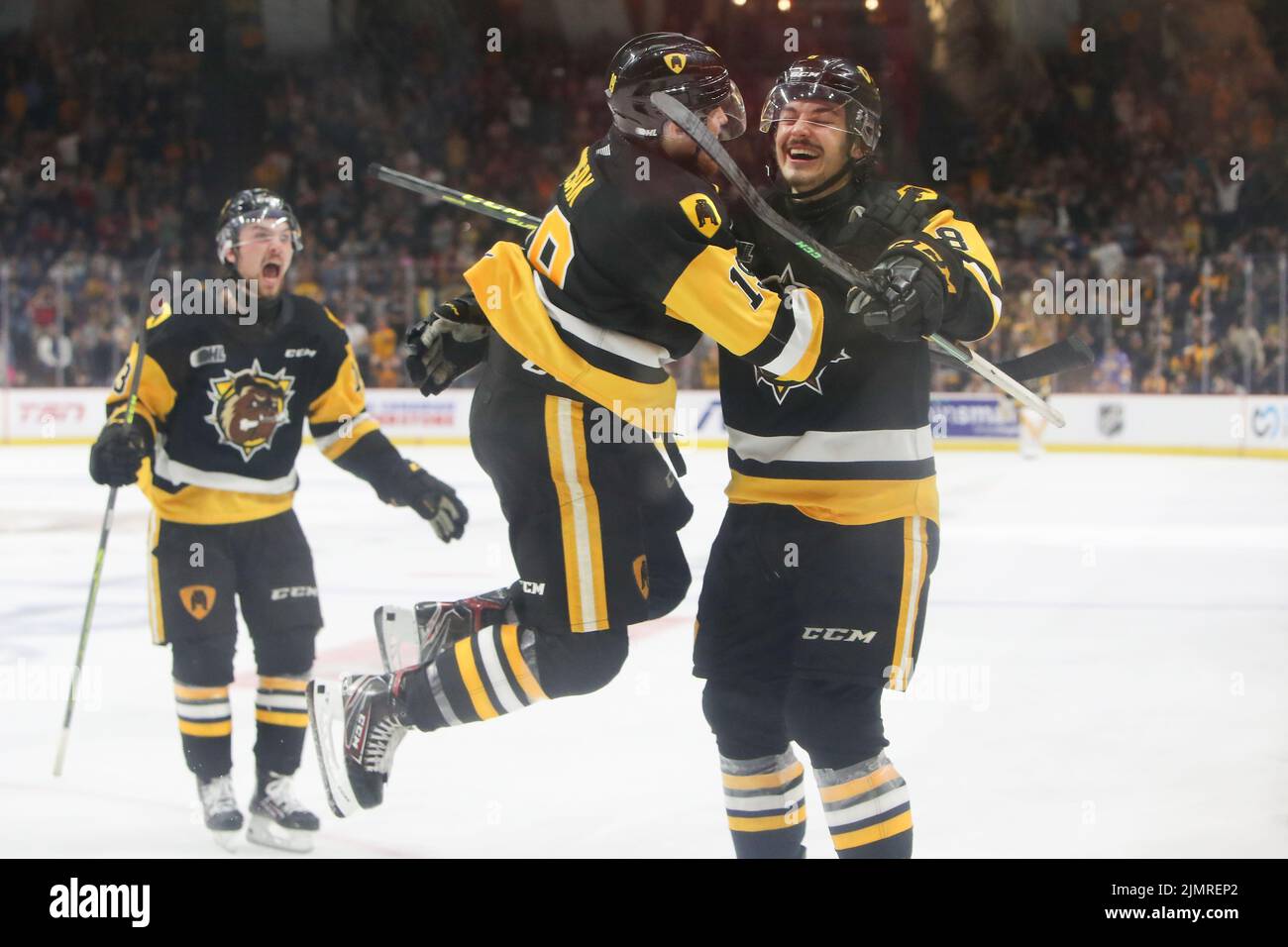 (Editorial Only) Hamilton Bulldogs. Luke Durda/Alamy Stock Photo - Alamy