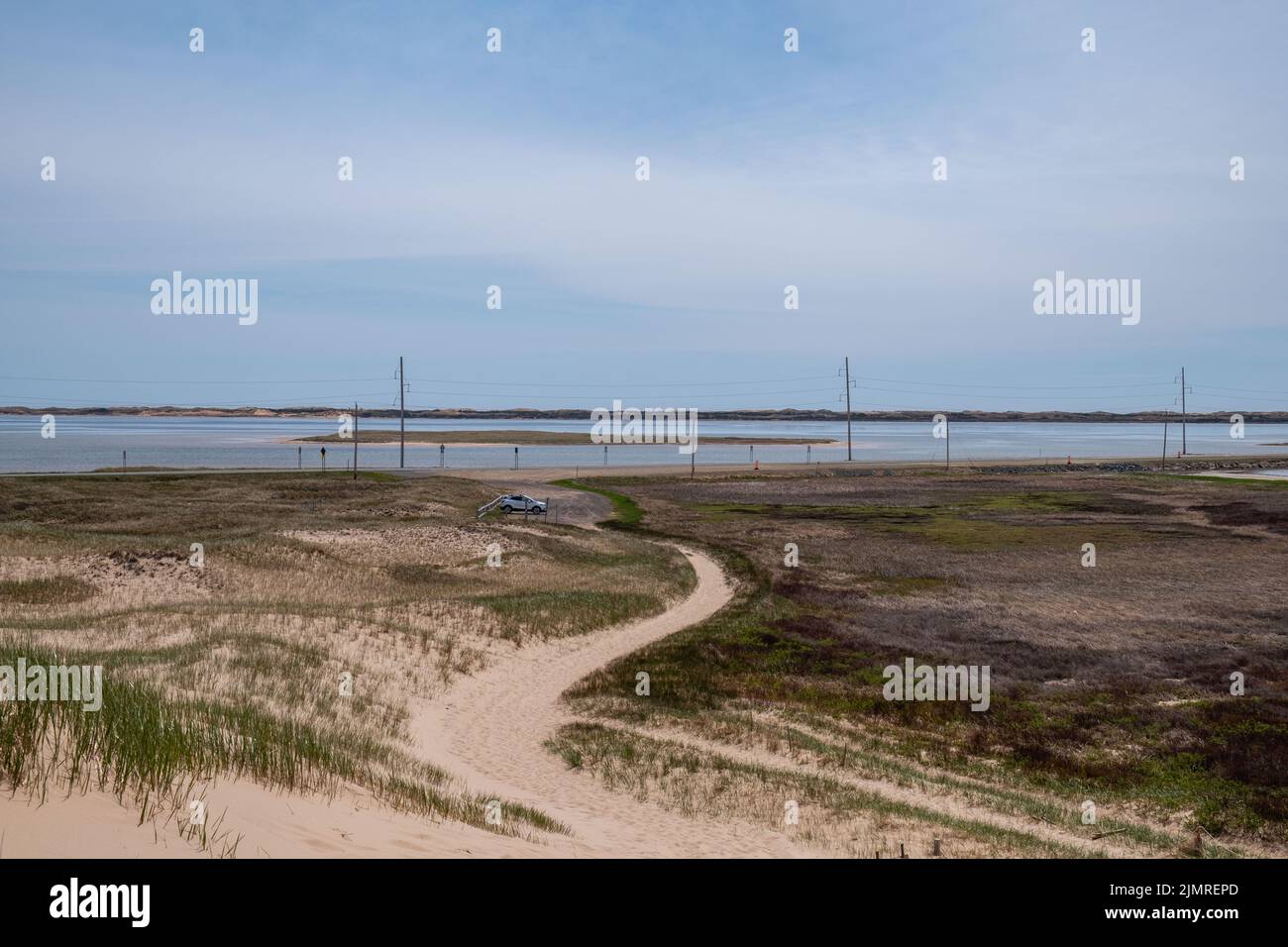 Littoral vegetation hi-res stock photography and images - Alamy