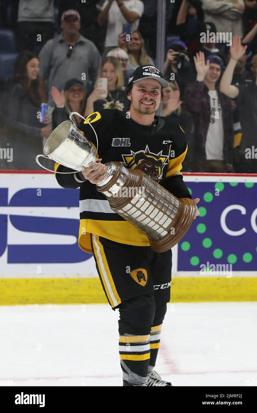 (Editorial Only) Logan Morrison(9) of the Hamilton Bulldogs. Luke Durda ...