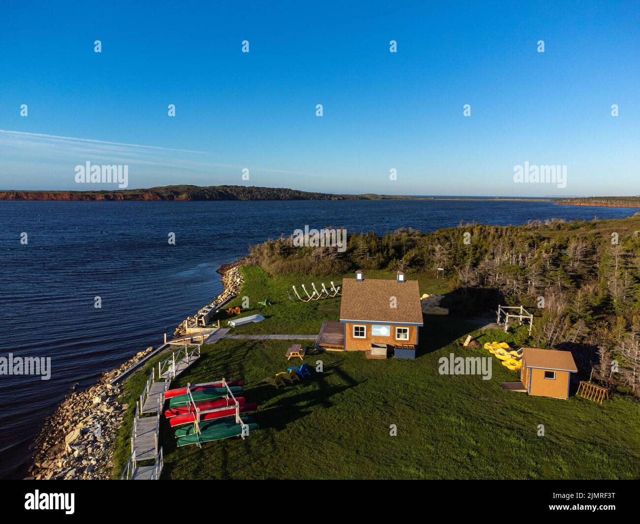 Salicorne hi-res stock photography and images - Alamy