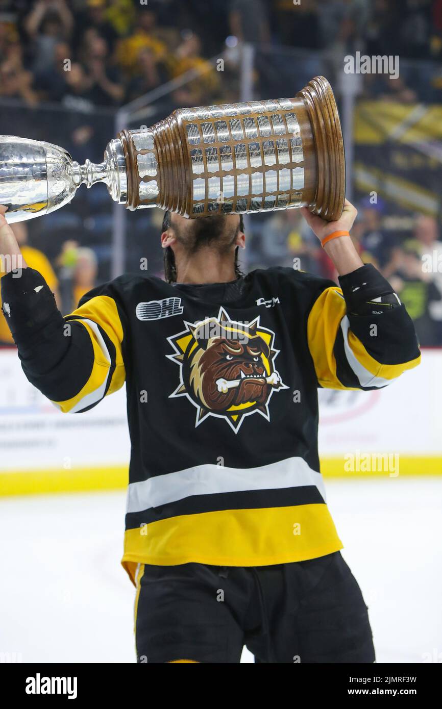 (Editorial Only) Hamilton Bulldogs 2022 OHL Champions. Luke Durda/Alamy ...