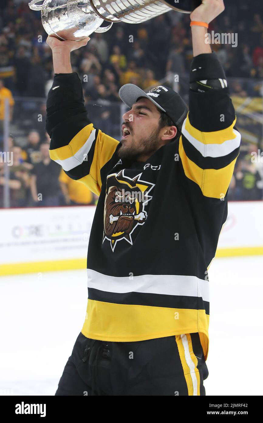 (Editorial Only) Hamilton Bulldogs 2022 OHL Champions. Luke Durda/Alamy ...