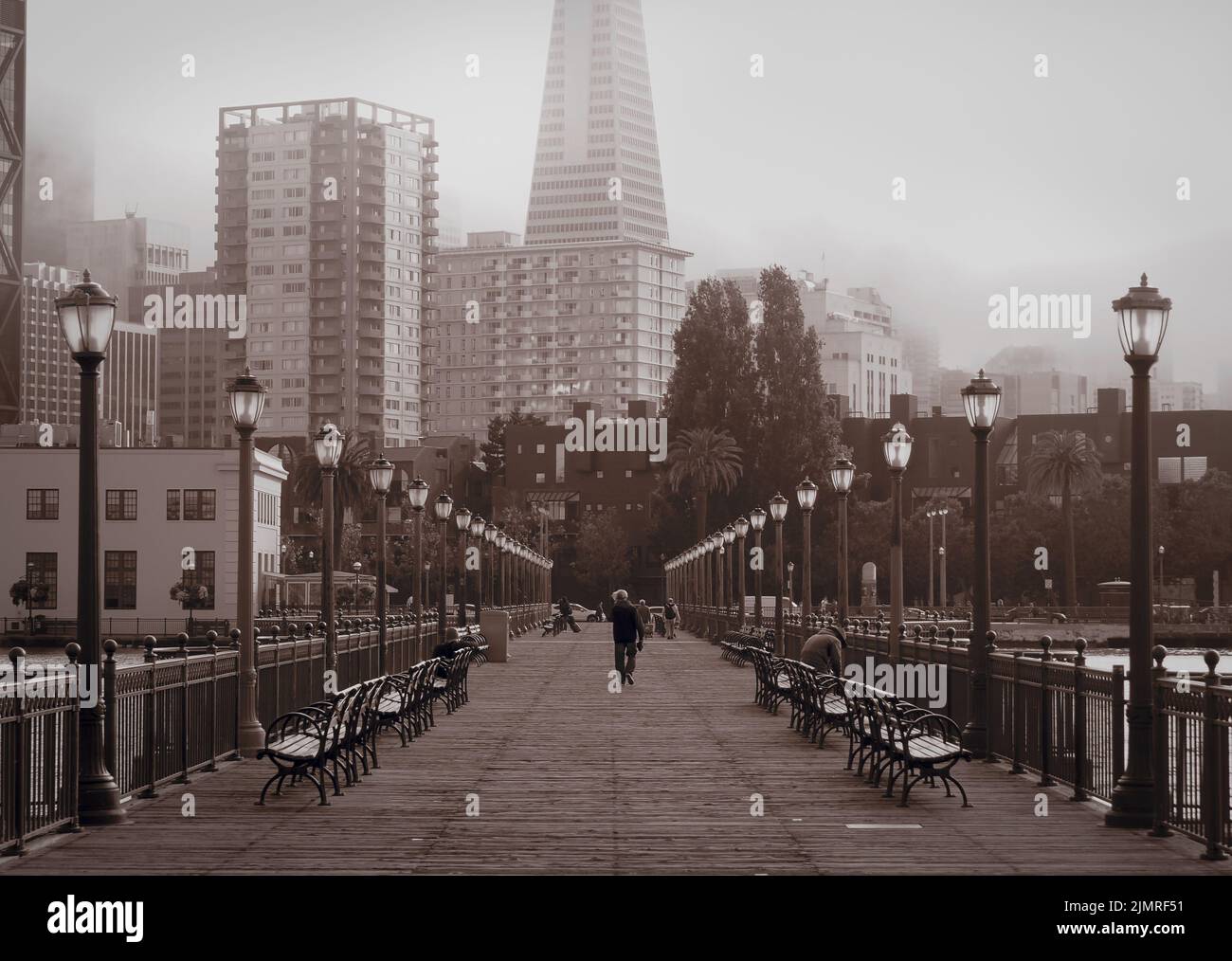 A monochrome of a broadway near the Transamerica Pyramid Tower in San ...