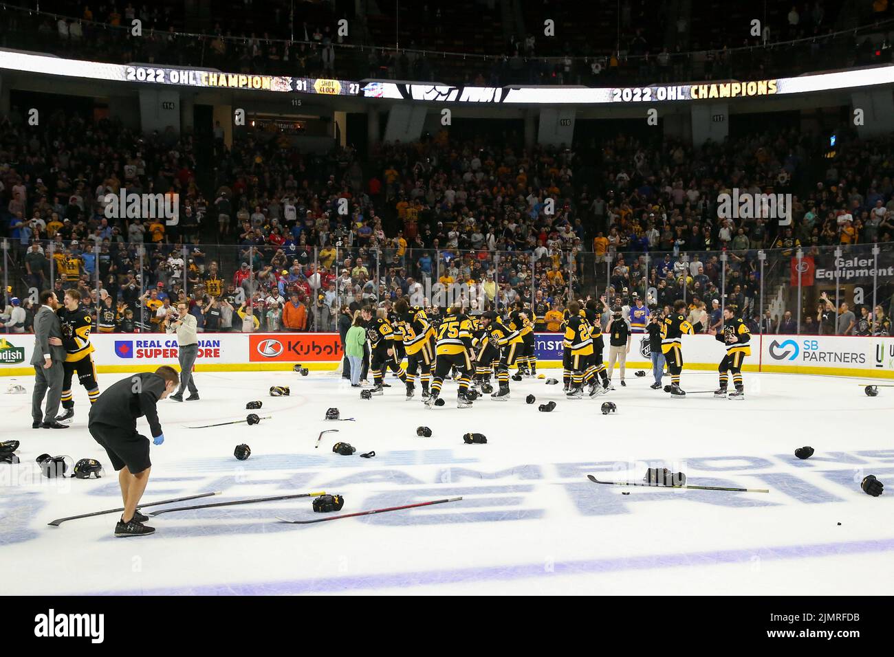 (Editorial Only) Hamilton Bulldogs. Luke Durda/Alamy Stock Photo - Alamy