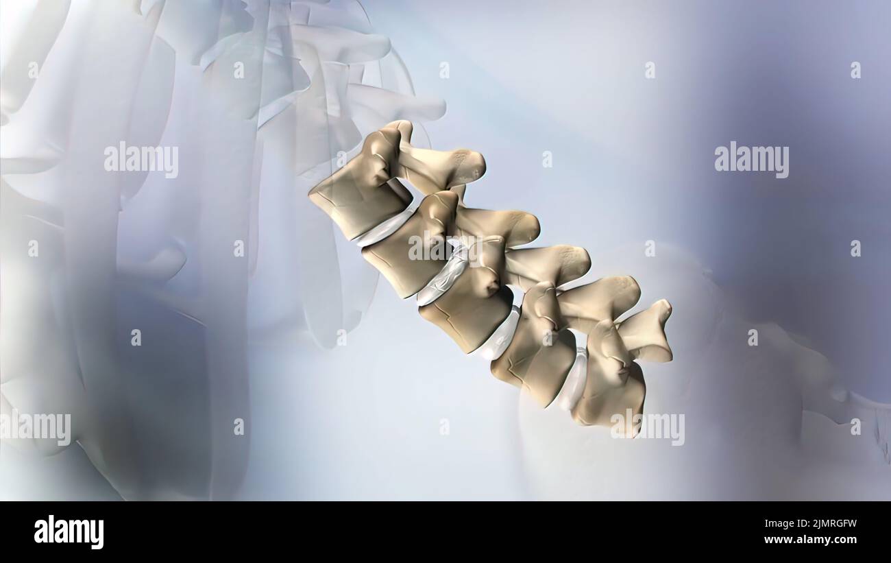 Transparent human hi-res stock photography and images - Alamy