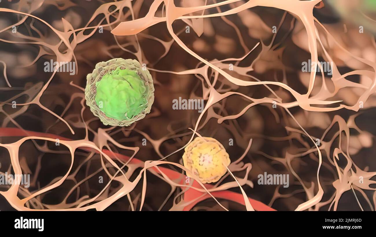 Sem red blood cells human hi-res stock photography and images - Alamy