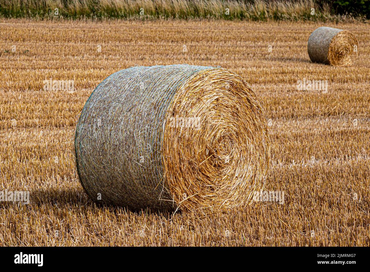 A close up of a hay bale in the South Downs, with a shallow depth of ...