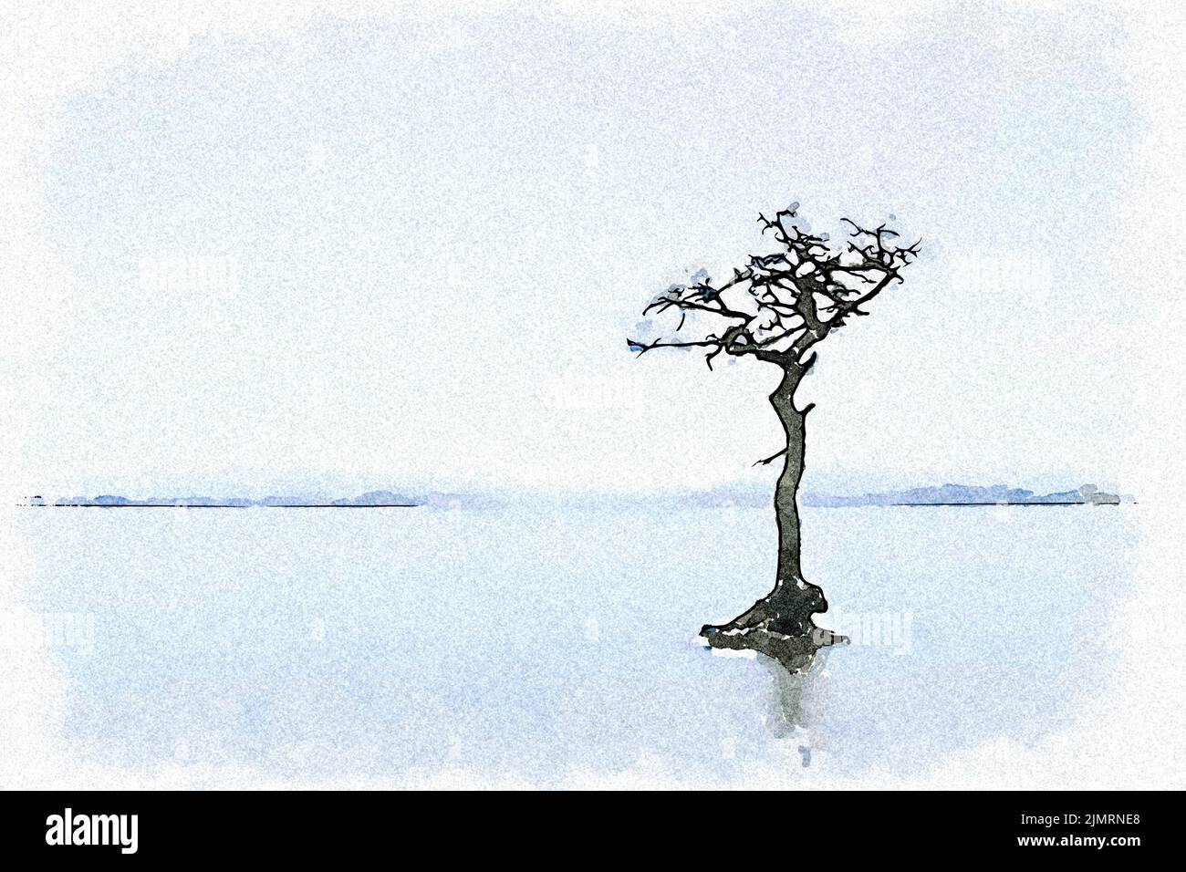 Milarrochy Bay lone tree in Loch Lomond Scotland Stock Photo - Alamy