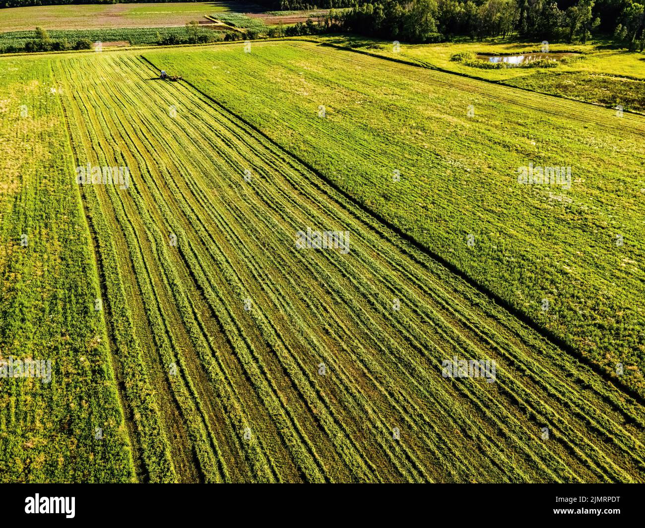 A large farm field is being chopped into hay for bales Stock Photo - Alamy