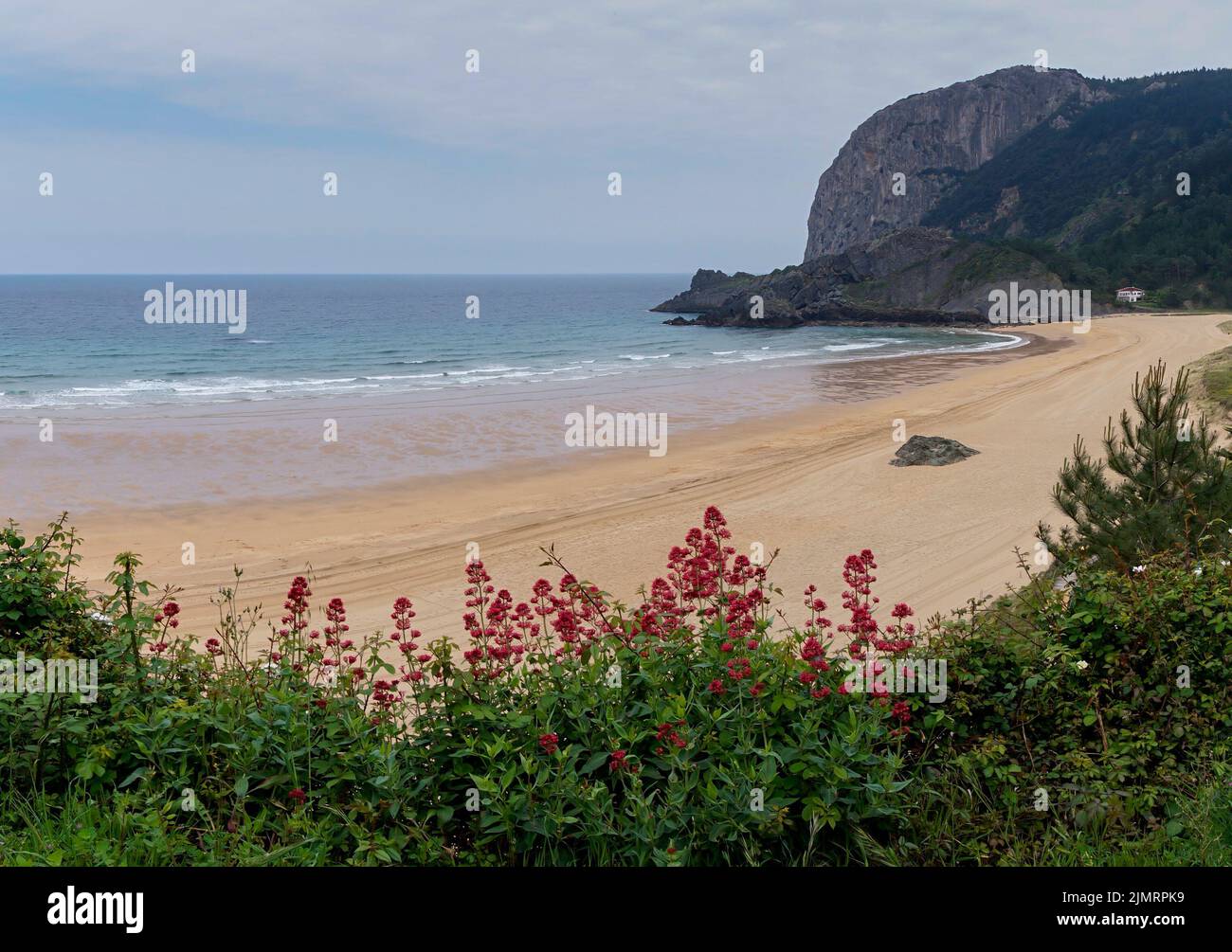 View of the picturesque bay and beach of Laga in the Spanish Basque ...