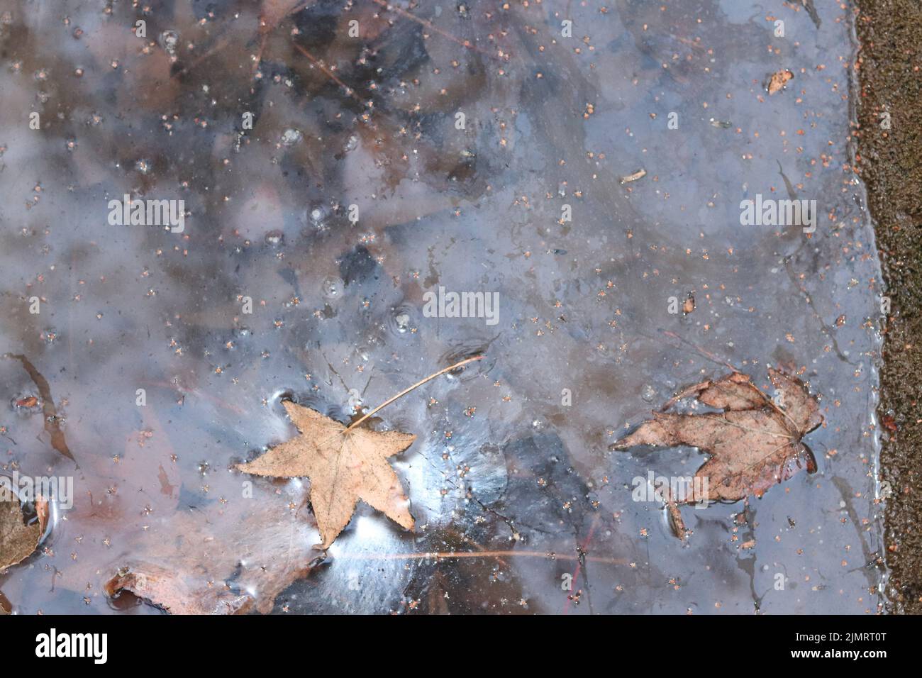 Wet brown puddle texture hi-res stock photography and images - Alamy