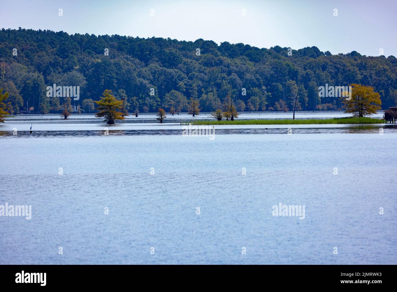 Lake with sporadic trees and a forest in the distance Stock Photo - Alamy