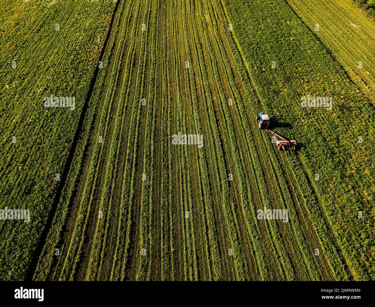 Chopped hay hi-res stock photography and images - Alamy