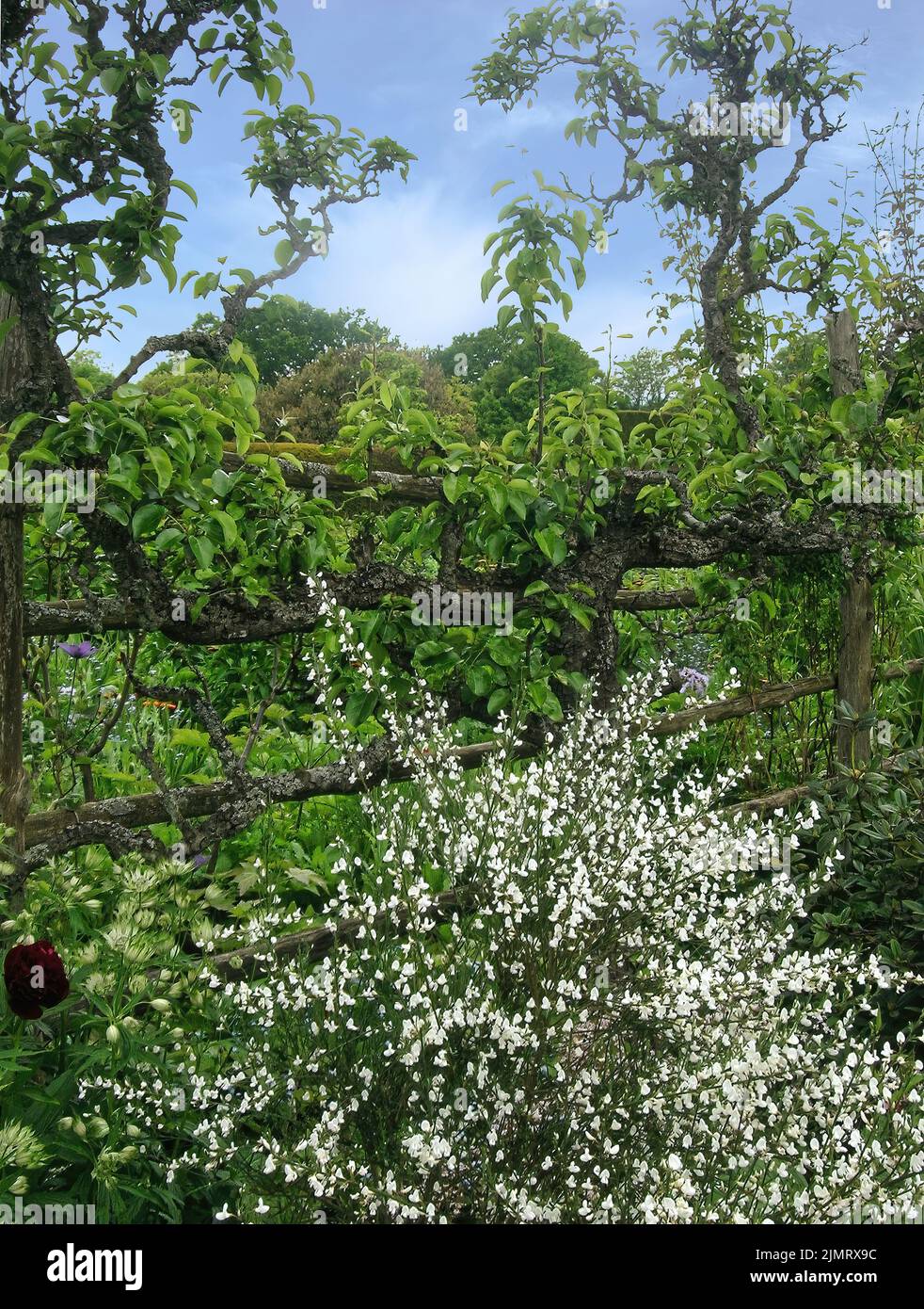 Great Dixter is a house and gardens in Northiam, East Sussex, England ...