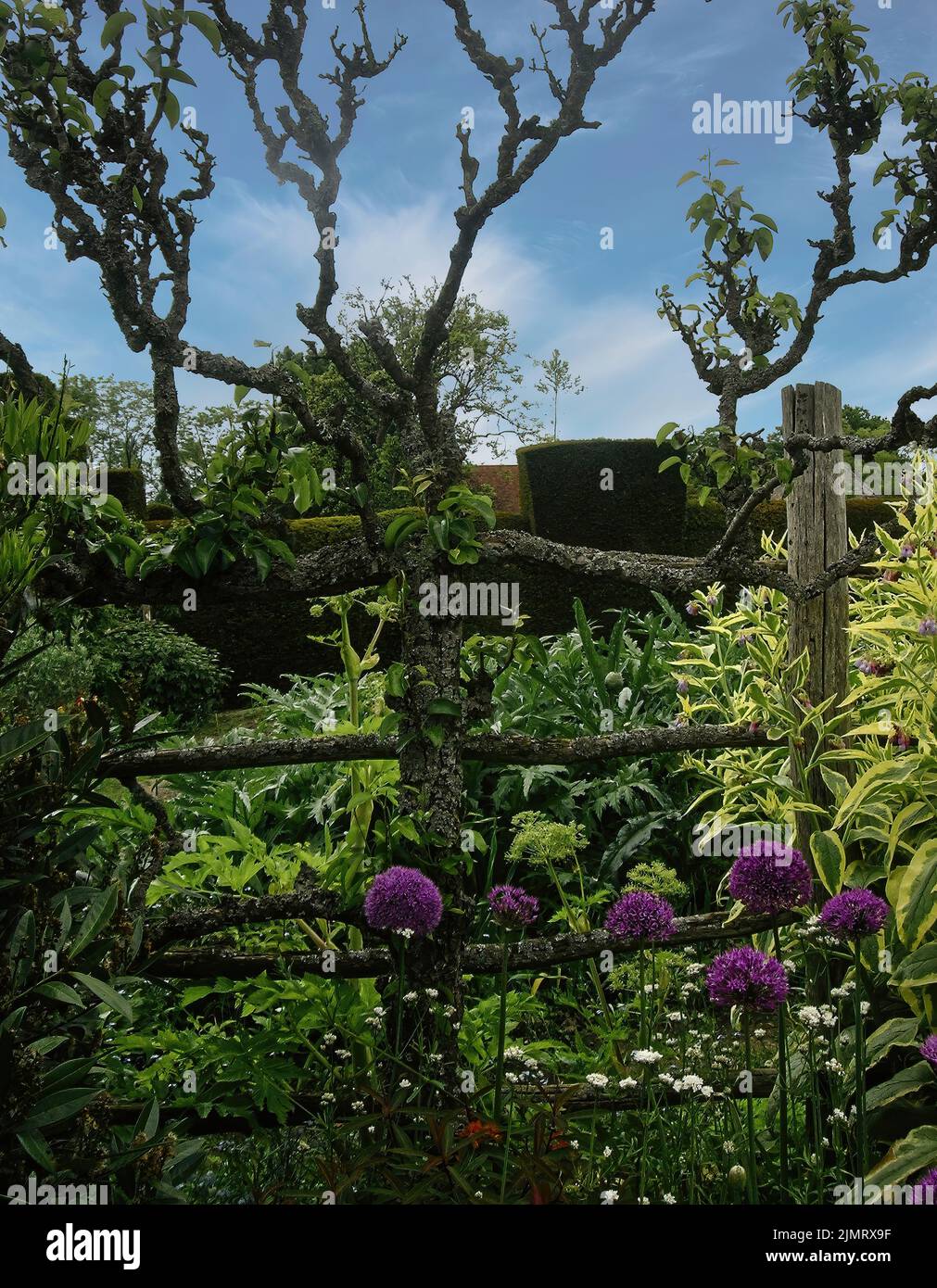 Great Dixter is a house and gardens in Northiam, East Sussex, England ...