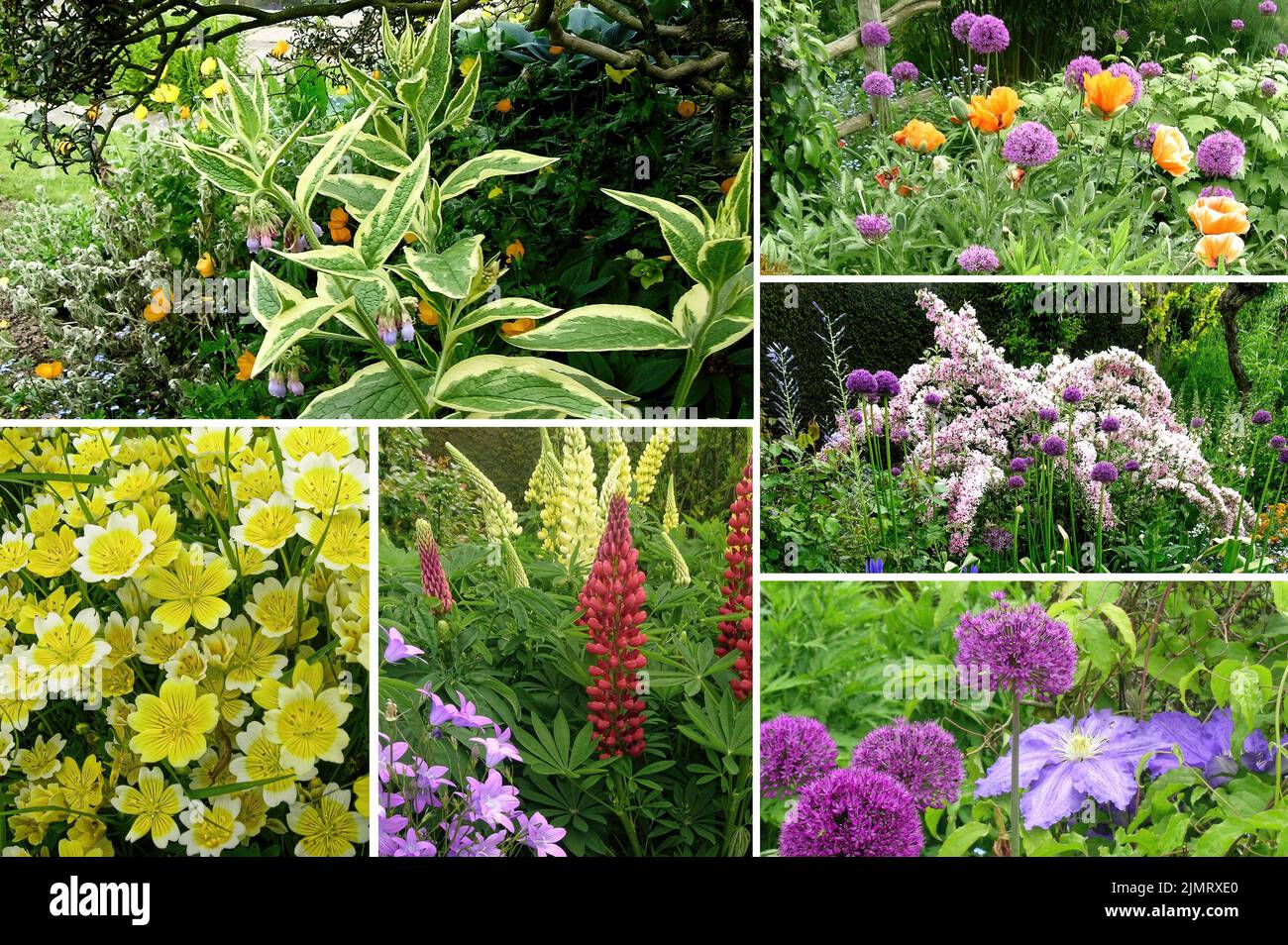Great Dixter is a house and gardens in Northiam, East Sussex, England ...