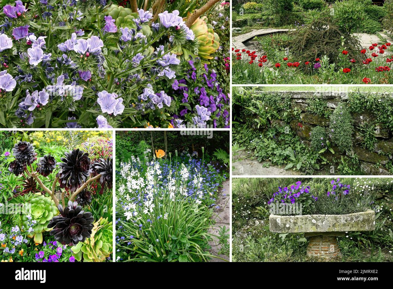 Great Dixter is a house and gardens in Northiam, East Sussex, England ...