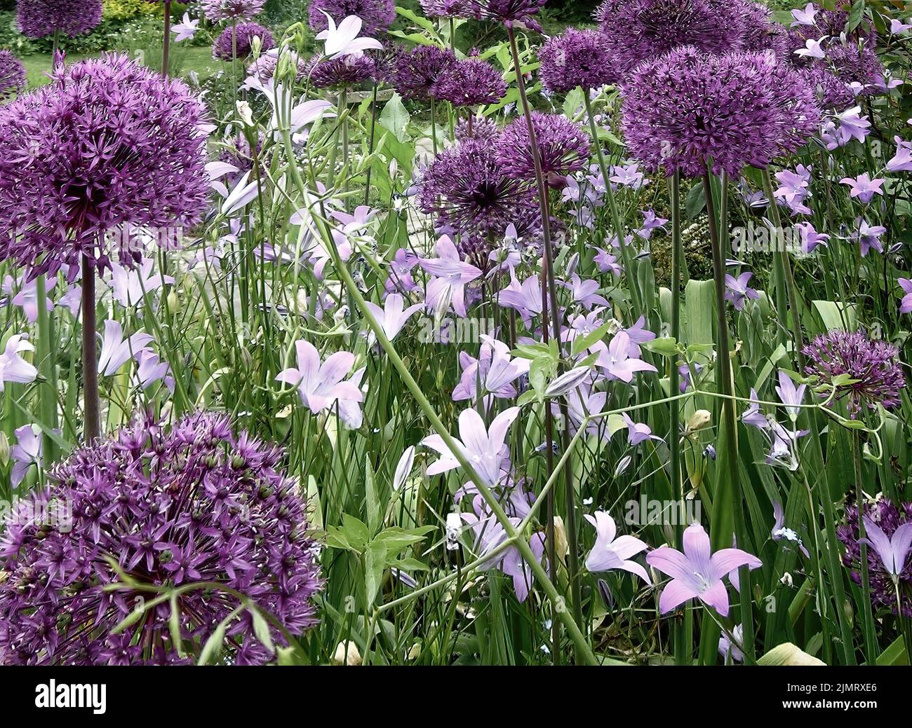 Great Dixter is a house and gardens in Northiam, East Sussex, England ...