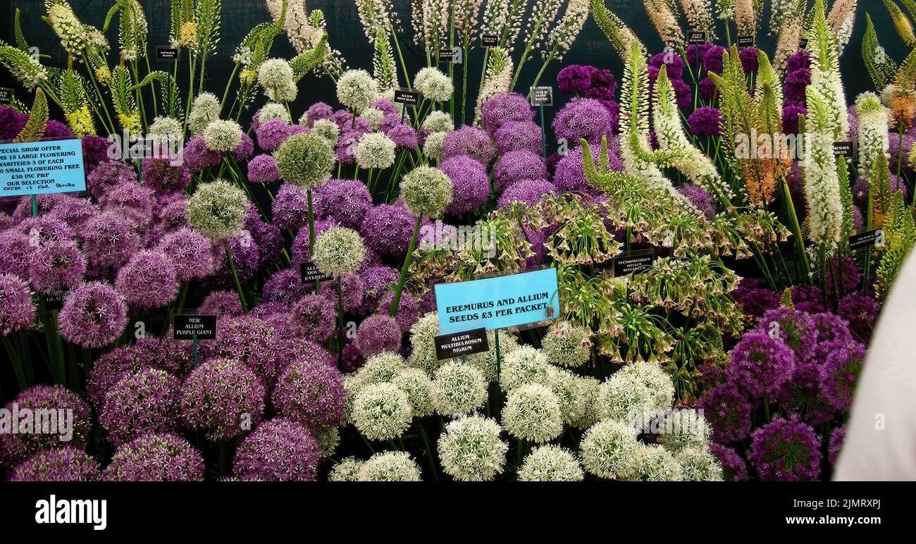 Chelsea Flower Show Stock Photo - Alamy
