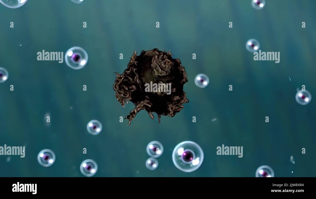 Microbes cell hi-res stock photography and images - Alamy Microbes cell hi-res stock photography and images - Alamy