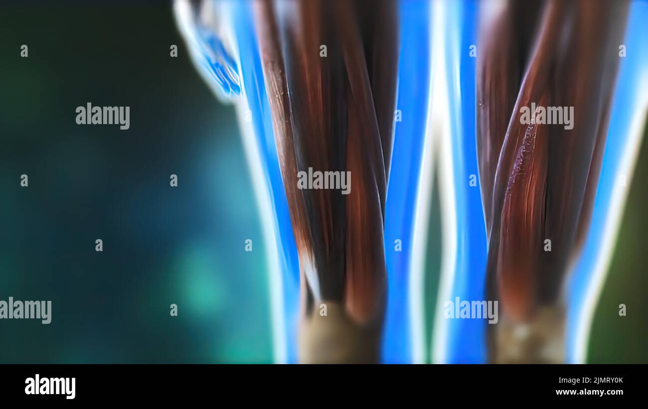 Axon muscle human hi-res stock photography and images - Alamy
