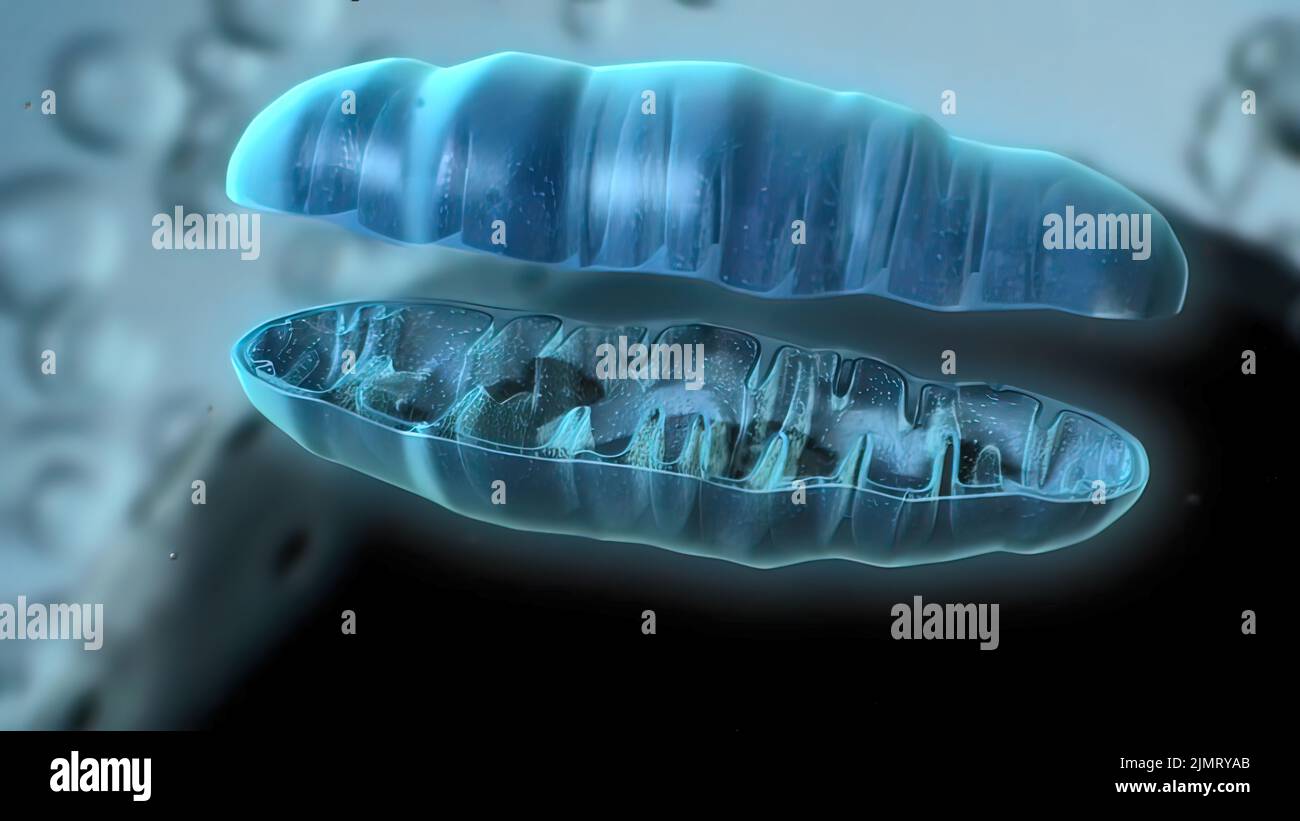 Dna organization hi-res stock photography and images - Alamy