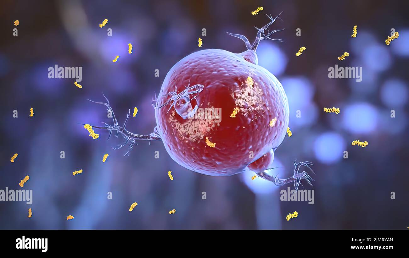 Development human hi-res stock photography and images - Alamy